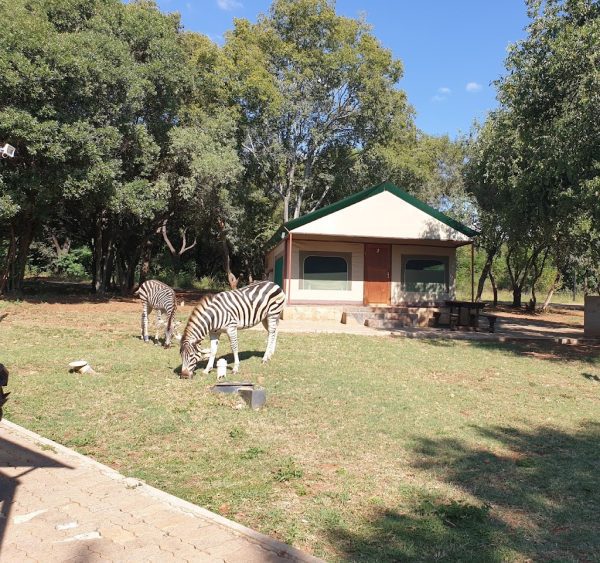 Eagle Waters Wildlife Resort